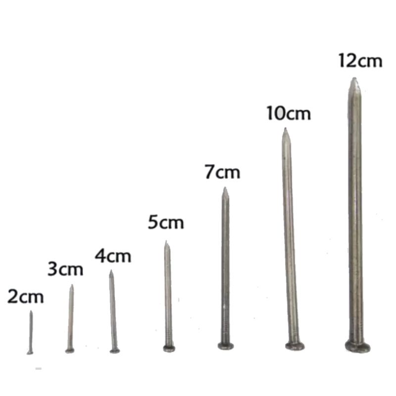 Jual Paku Kayu 30Kg | Shopee Indonesia