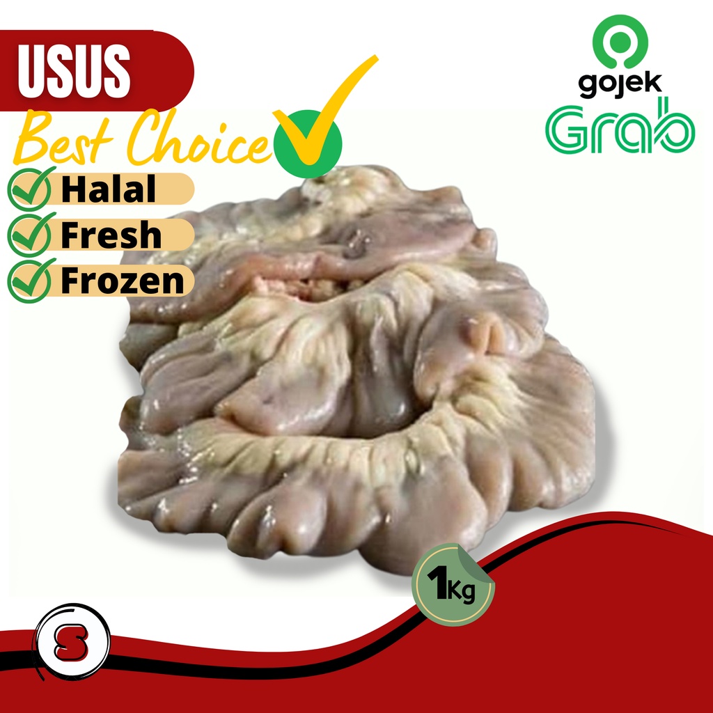Jual Sapina Daging Jeroan Sapi Usus Besar Sapi / Iso / Daechang Halal ...