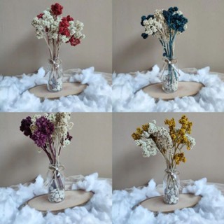Jual Bunga kering set vas / dekorasi / hiasan ruang tamu / Bunga ...