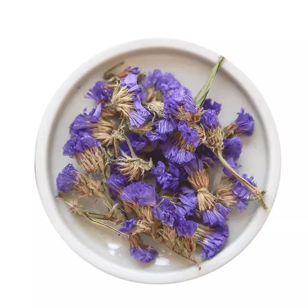 Jual Teh bunga Forget Me Not / Forget Me Not Myosotis Flower Tea Tisane ...