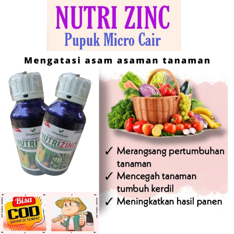 Jual Nutrizinc pupuk mengatasi asam asaman tanaman | Shopee Indonesia