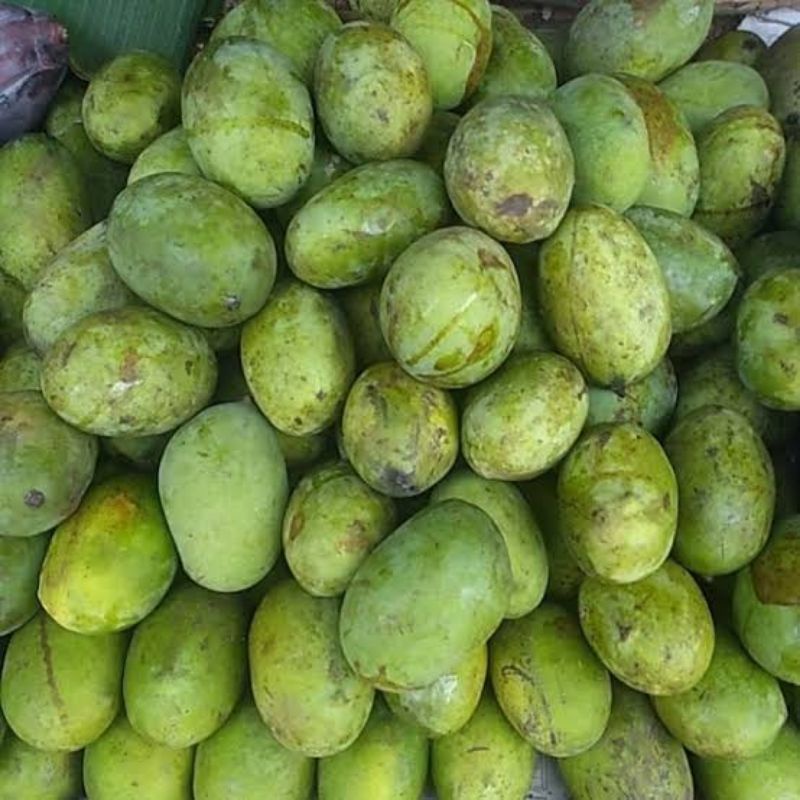 Jual Mangga Kweni 1 Kg | Shopee Indonesia