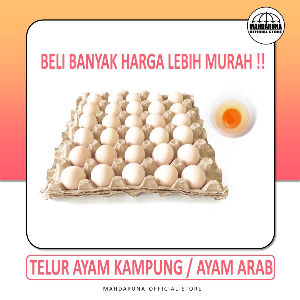 Jual Telur Ayam Kampung Arab dijamin Fresh Hasil Ternak Sendiri ...