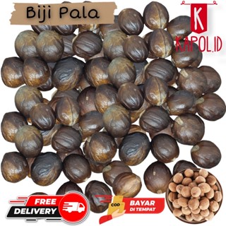 Jual biji pala kering / biji pala 100gr | Shopee Indonesia