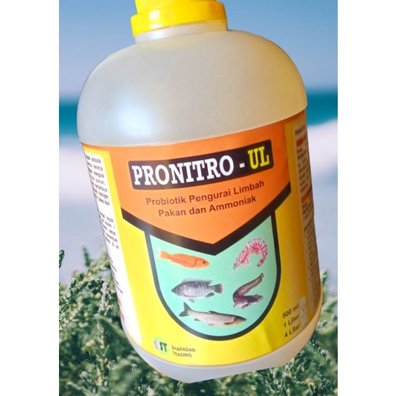 Jual Probiotik Nitrobacter Nitrosomonas untuk Budidaya Ikan dan Udang PRONITRO UL 1 liter ...