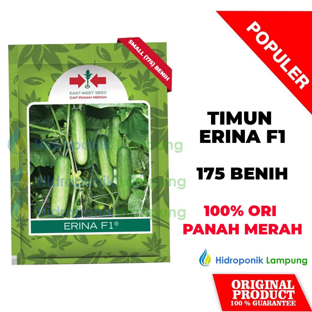 Jual BENIH BIBIT TIMUN ERINA F1 SP CAP PANAH MERAH ISI 175 BENIH ...