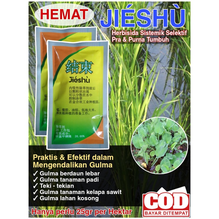 Jual Jie Shu Herbisida Efektif mengendalikan gulma tanaman padi ...