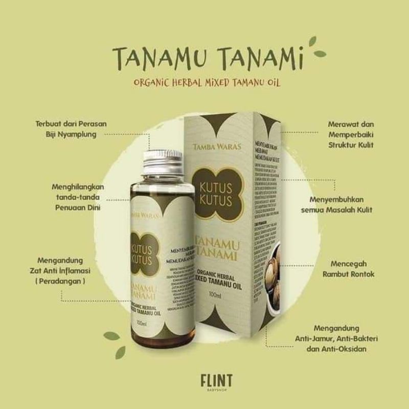 Jual Minyak Tanamu Tanami Kutus Kutus Original Asli 100% Tamba Waras Minyak untuk Kecantikan ...
