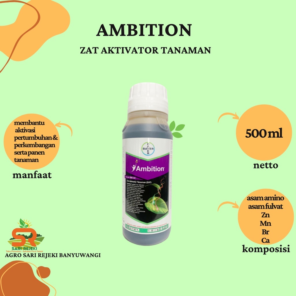 Jual AMBITION 500ML ZAT ASAM AMINO | Shopee Indonesia