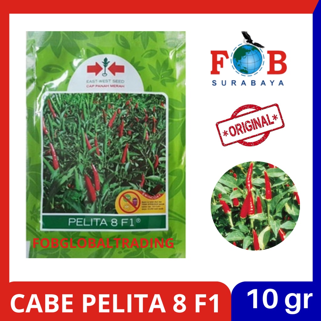 Jual BENIH CABE RAWIT PELITA 8 F1 2250 BUTIR MEREK PANAH MERAH | Shopee ...