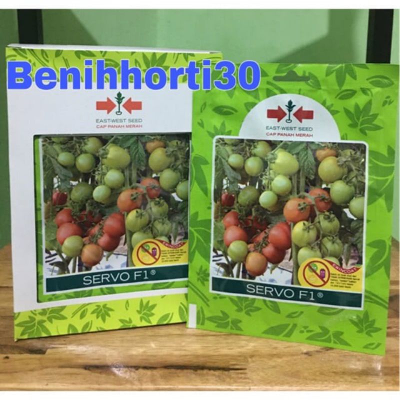 Jual Benih Tomat Servo F1 isi 150 butir | Shopee Indonesia