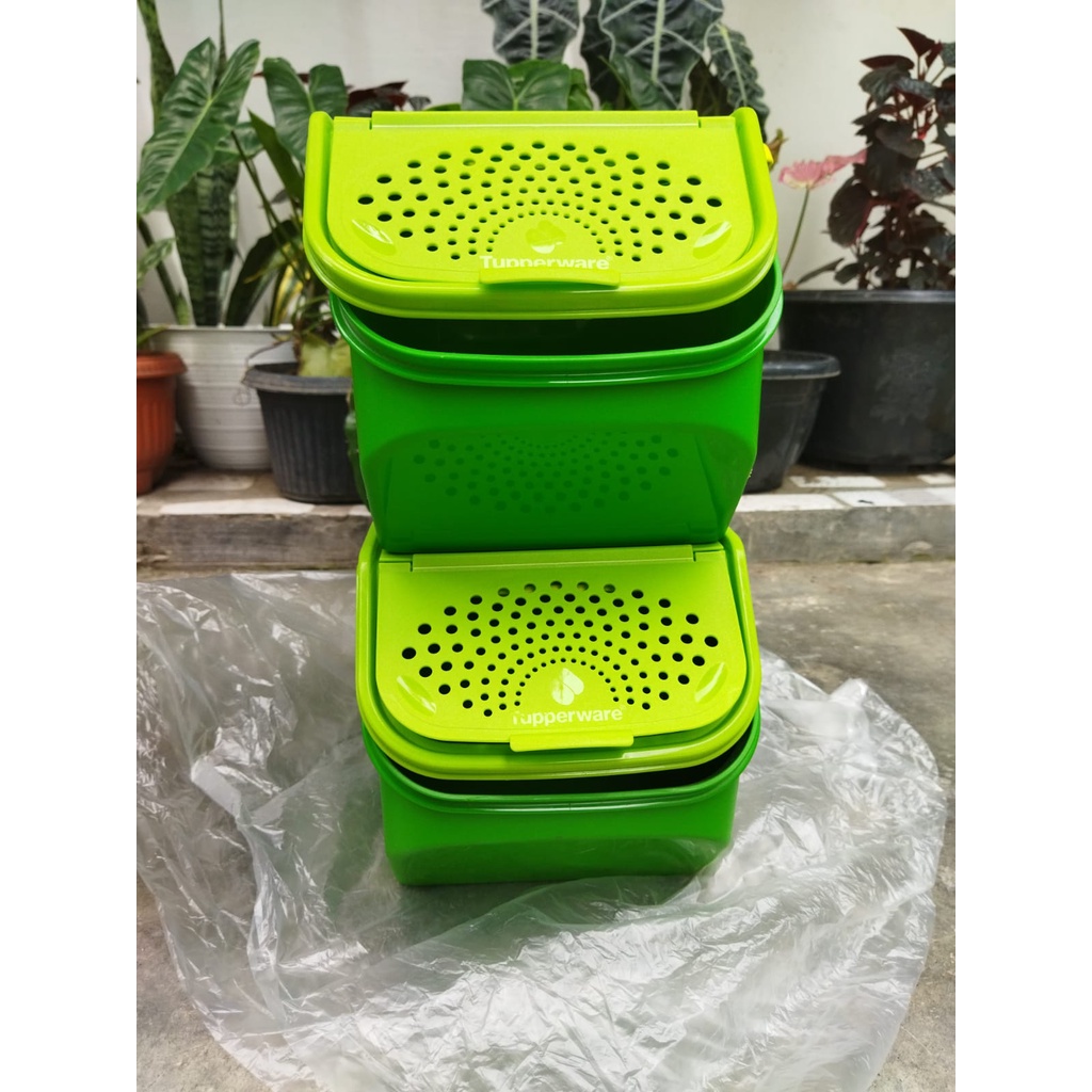 Jual Tempat Bawang Merah / Bawang Putih Tupperware Access Mate 3 L 1 ...