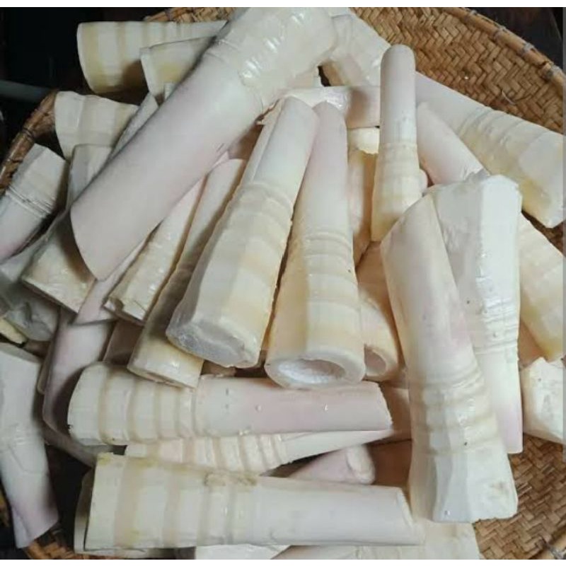 Jual rebung sayur / rebung bambu (iwung) | Shopee Indonesia