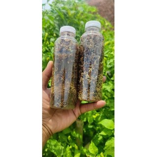 Jual Jakaba pupuk jakaba jamur jakaba POC 250ml | Shopee Indonesia