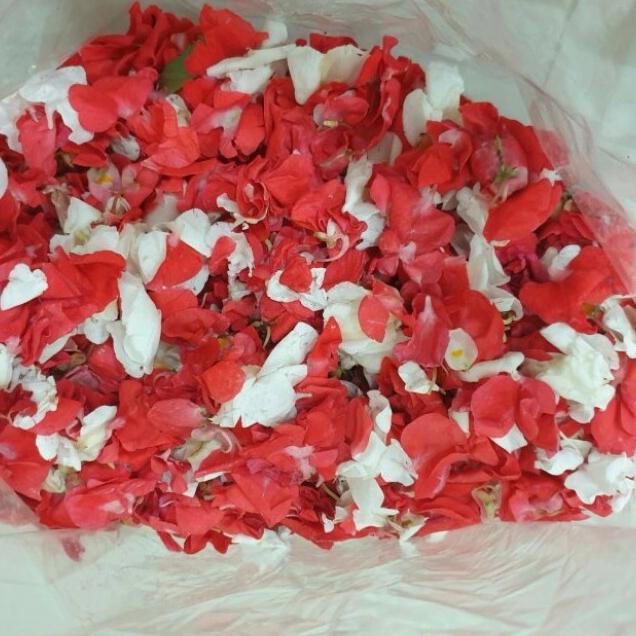 Jual Bunga Tabur Makam Untuk Pemakaman Ziarah Asli Fresh | Shopee Indonesia