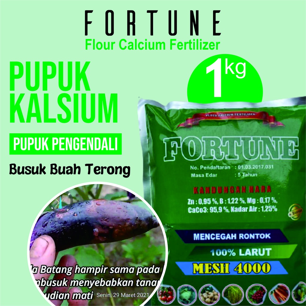 Jual PUPUK GOKIL FORTUNE 1 KG Obat Busuk Terong - Obat Busuk Buah ...