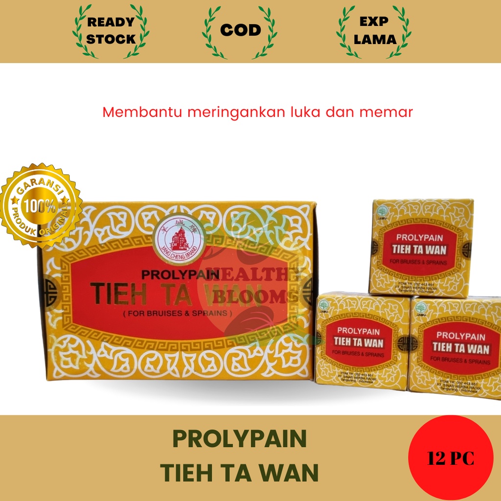 Jual Prolypain Tieh Ta Wan / Yang Cheng Die Da Wan - Luka dan Memar - 1 DUS @ 12 PCS | Shopee ...