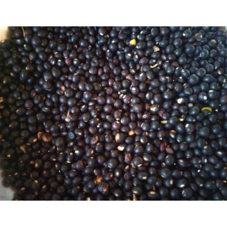 Jual lebui / kacang gude khas Lombok 250 gr | Shopee Indonesia