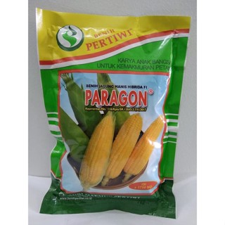 Jual benih jagung manis paragon 1750 butir | Shopee Indonesia