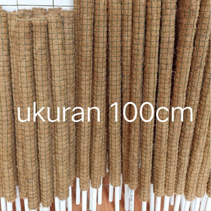 Jual Turus Tanaman,Turus Penyangga Tanaman Merambat | Shopee Indonesia