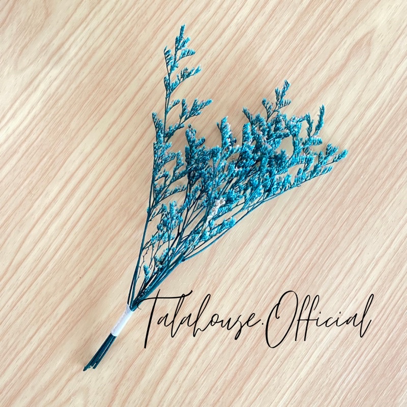 Jual (MINI) (+/- 17cm) BUNGA CASPEA LIMONIUM KERING FLOWER PRESERVED ...