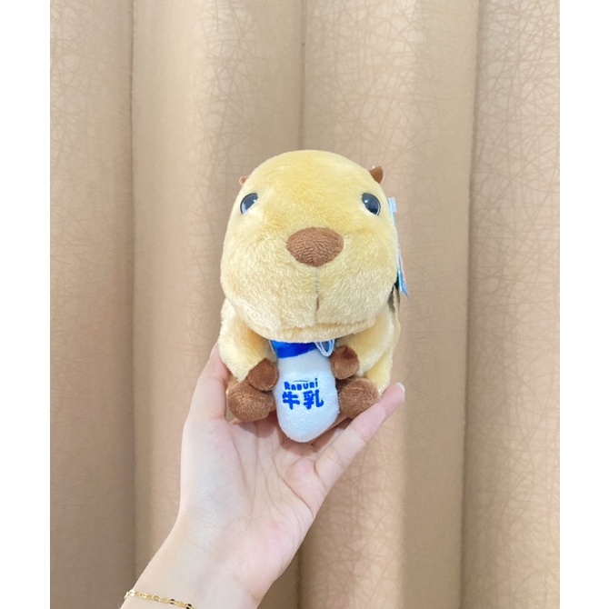Jual Boneka Karakter Capybara size 17cm Original / Boneka Capybara ...