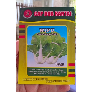 Jual Benih Biji Sawi Batang Putih 10 Gram WIPU Sawi Daging | Shopee ...