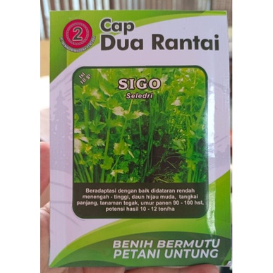 Jual Benih Biji Seledri Sigo 10 Gram Batang Besar Berbobot | Shopee ...