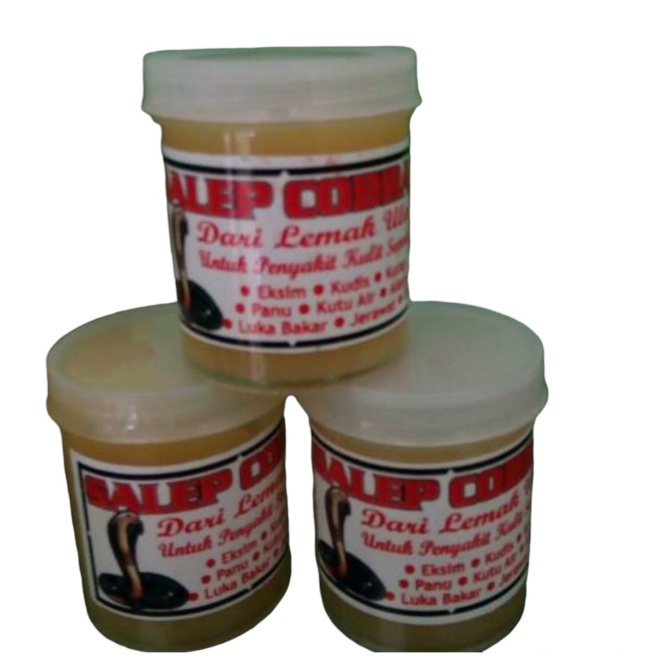 Jual SALEP PANU GATAL KORENG KURAP GUDIG EKSIM BASAH & KERING LUKA BA ...