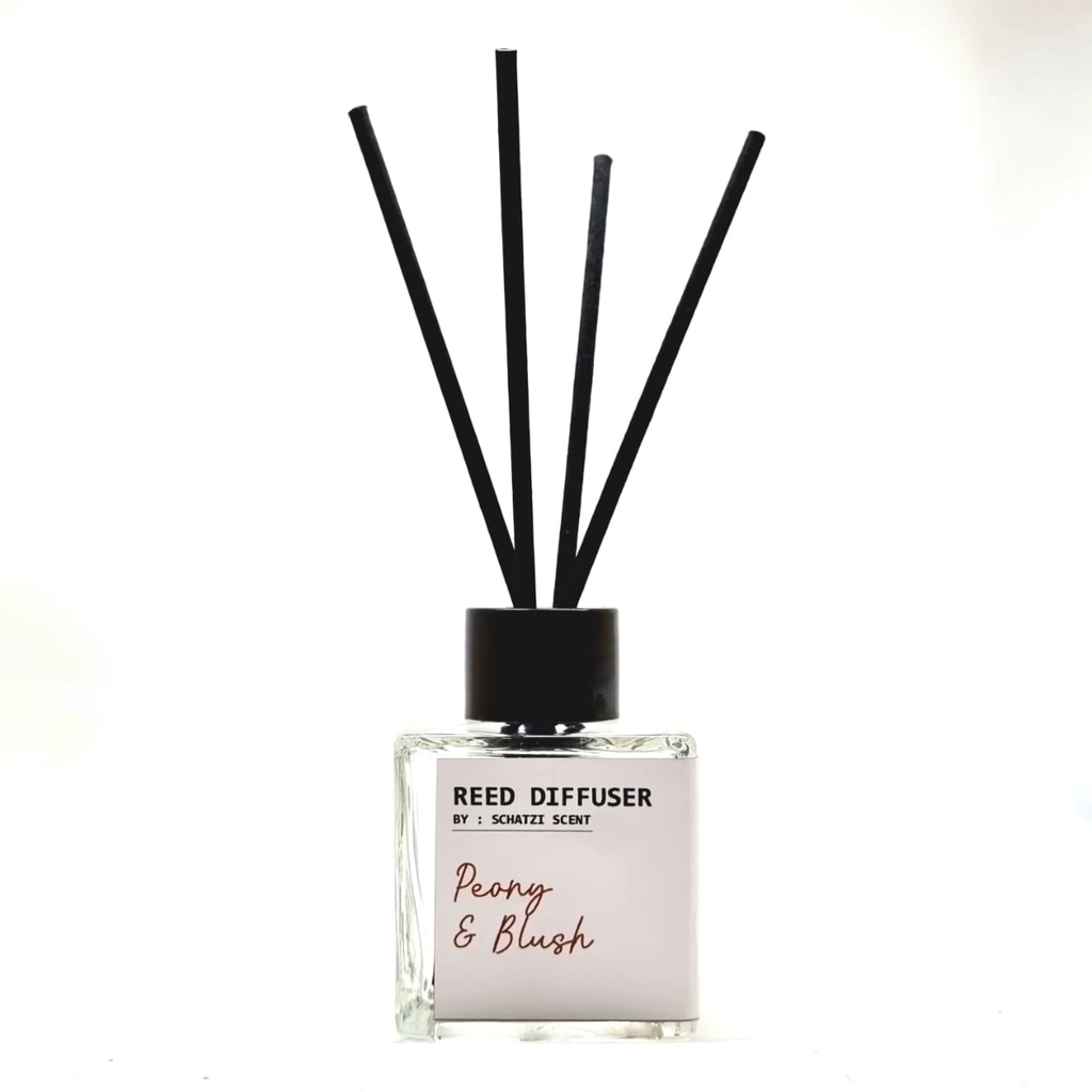 Jual Pengharum Ruangan Reed Diffuser Tanpa Listrik dan Api 50 ml ...