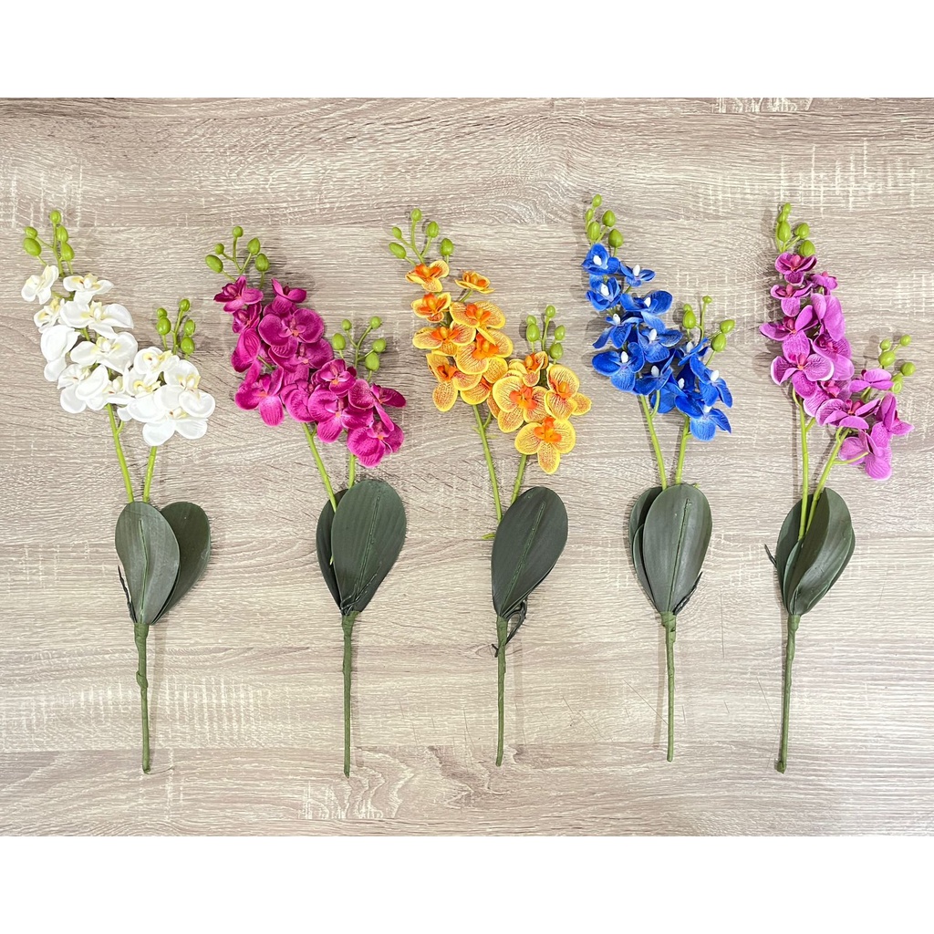 Jual Bunga Anggrek Mini Premium X2 (Satuan) Bunga Anggrek Orchid ...