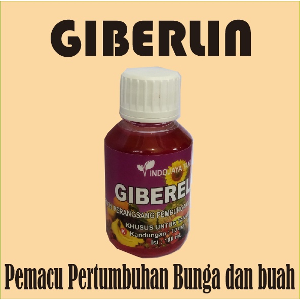 Jual pupuk Hormon Giberlin perangsang bunga dan buah murni giberelin ...