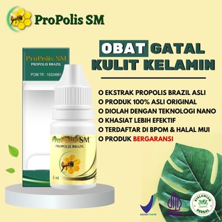 Jual Obat Sariawan Mulut Tetes Propolis SM Original 6ml | Shopee Indonesia