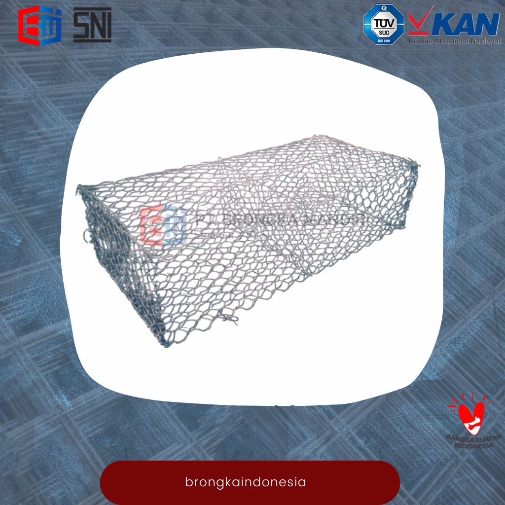 Jual KAWAT BRONJONG GALVANIS MANUAL 2x1x0,5 M 2,7MM; 3,4MM | Shopee ...