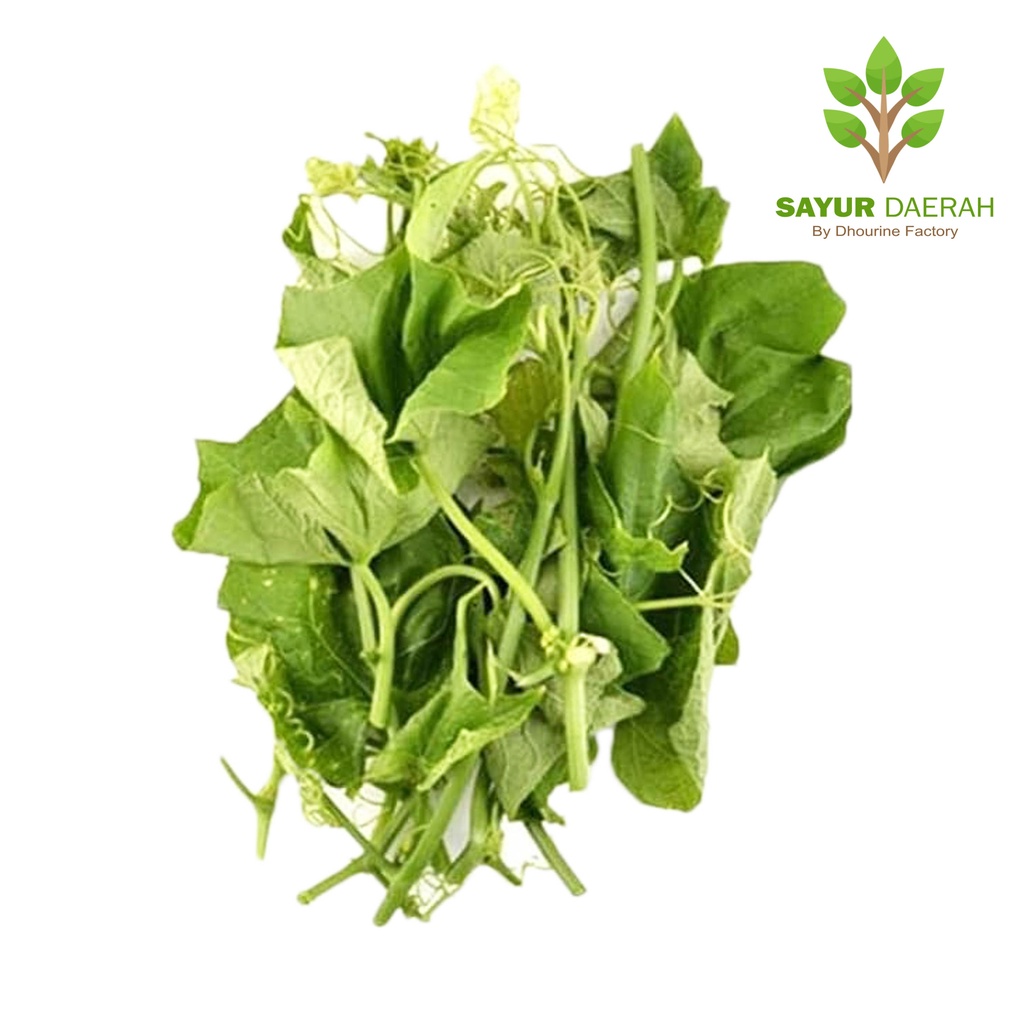 Jual Pucuk Labu 500 Gr | Sayur Daerah | Shopee Indonesia