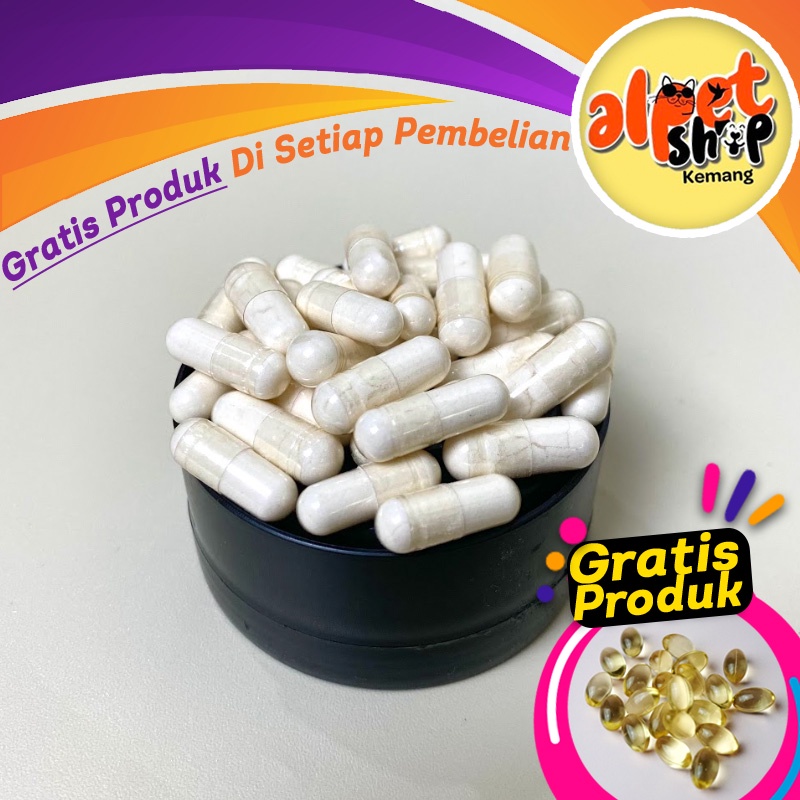 Jual Suplemen Vitamin Penyembuh Luka Kucing PRO ALBUMIN Free Fish Oil ...