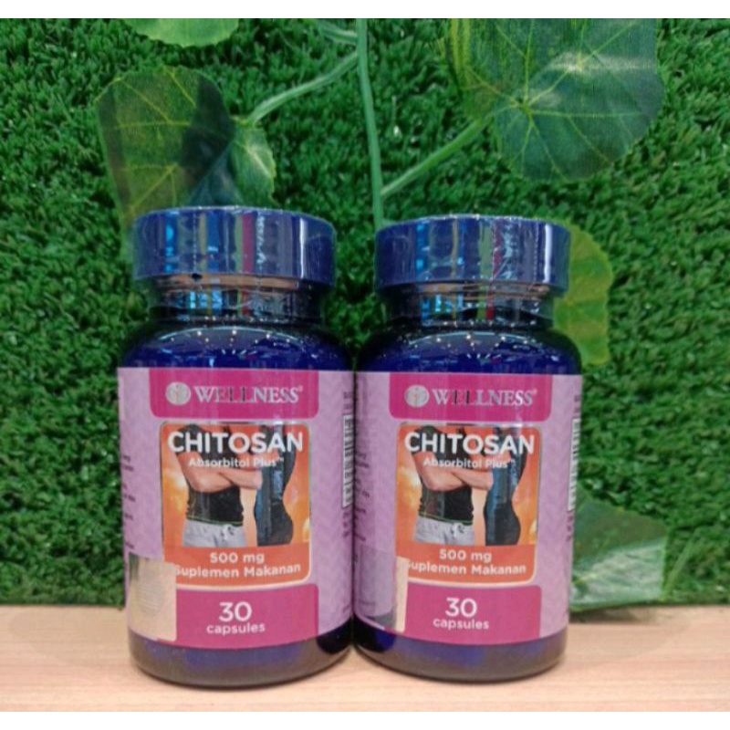 Jual Wellness Chitosan 500mg 30 Capsules - Wellnes Chitosan 500mg ...