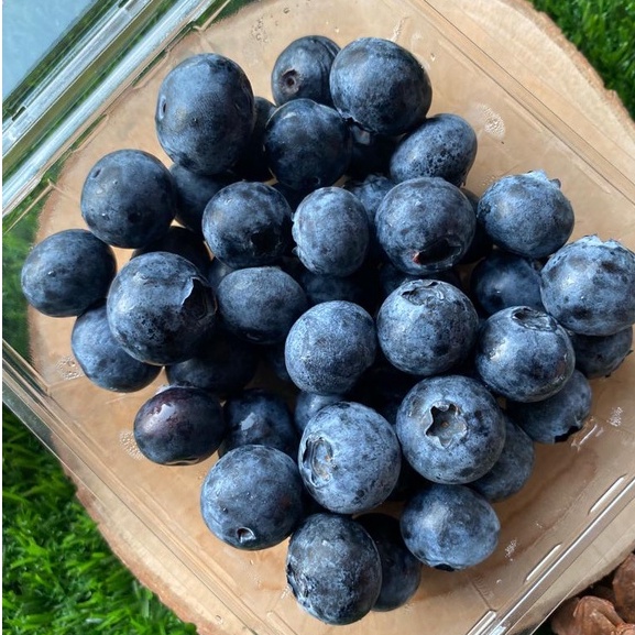 Jual BLUEBERRY FRESH PER PACK | Shopee Indonesia