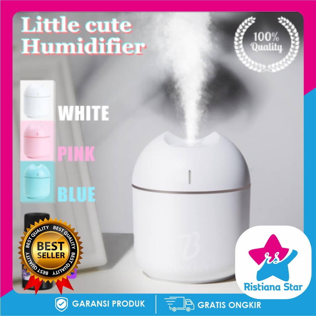 Jual Humidifier Pelembab dan Penjernih Udara / Air Mini Humidifier ...