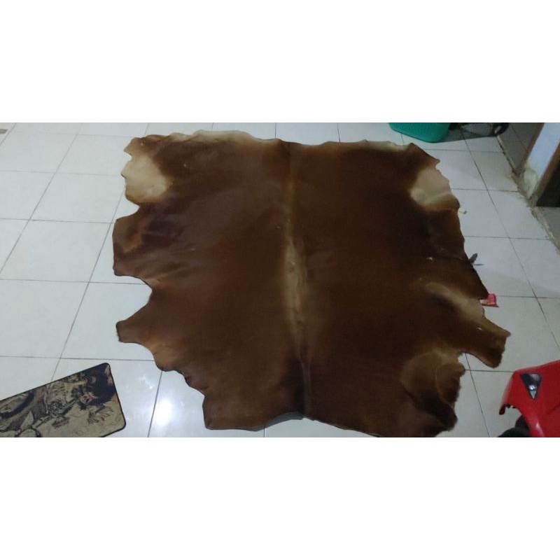 Jual Karpet bulu kulit sapi asli last stok(Stok Redy sesuai di foto ...