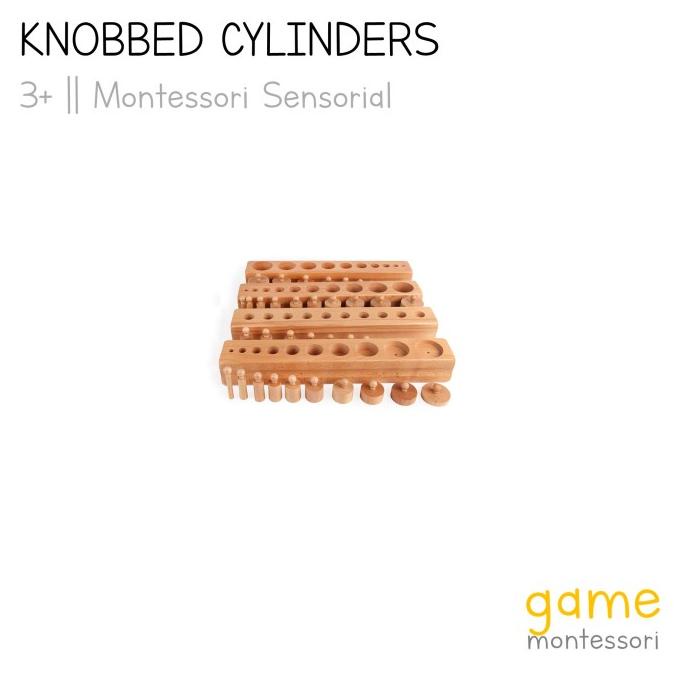 Jual Montessori Sensorial Knobbed Cylinders | Shopee Indonesia