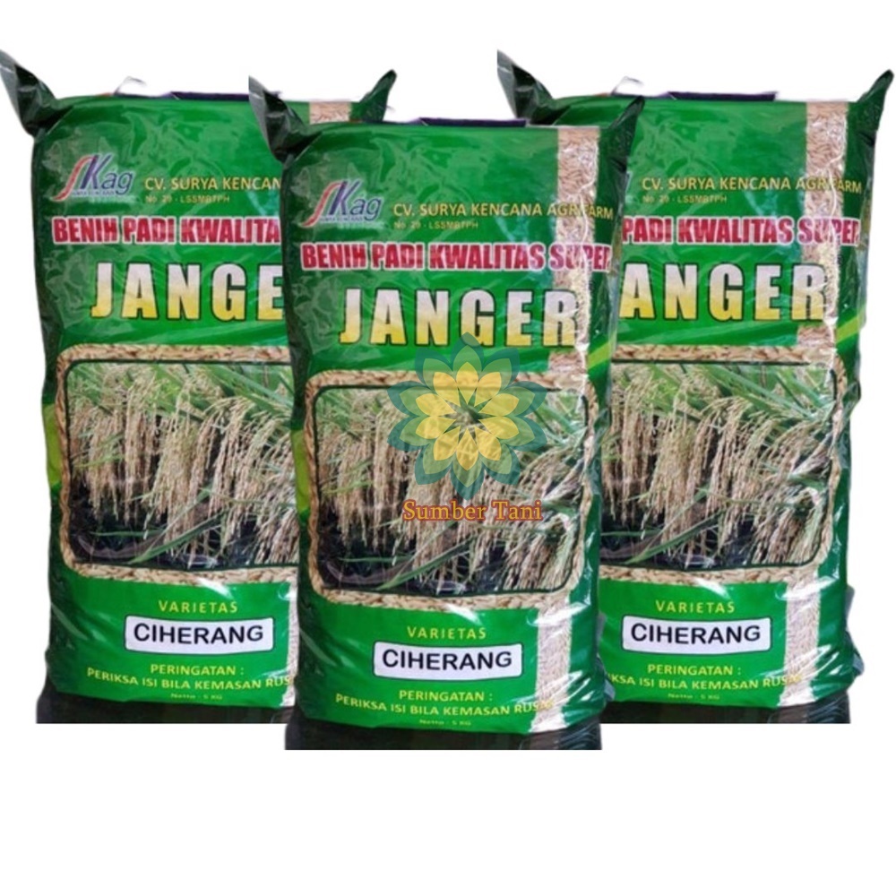 Jual Benih Padi Ciherang Janger | Shopee Indonesia