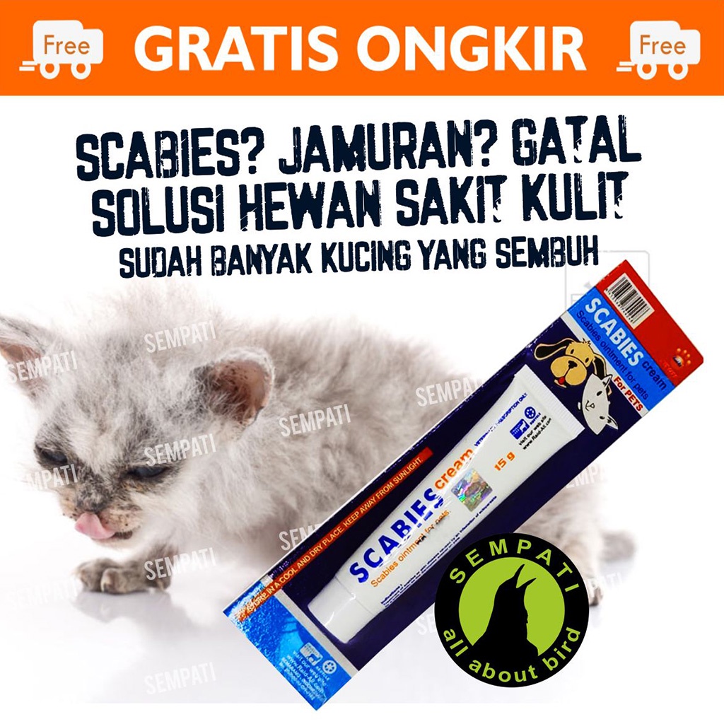 Jual Obat Salep Kucing Scabies Cream 15 Gram Raid All Obat Kulit Hewan ...