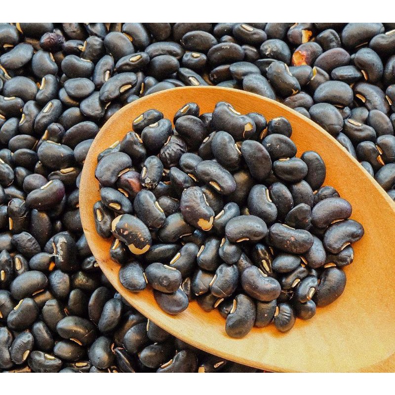 Jual Kacang Kedelai Hitam Oven 1Kg / Roasted Black Soy Bean 1Kg ...