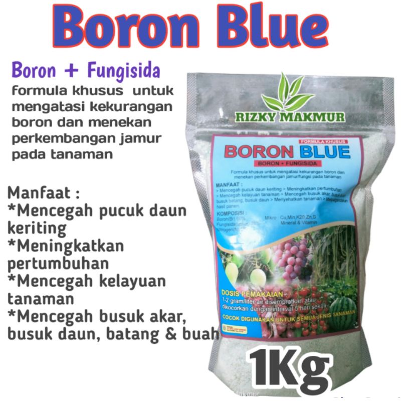 Jual Boron blue + fungisida 1 kg | Shopee Indonesia