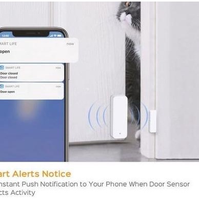 Jual DOOR SENSOR SENSOR PINTU / SENSOR JENDELA WIFI TUYA SMARTLIFE ...