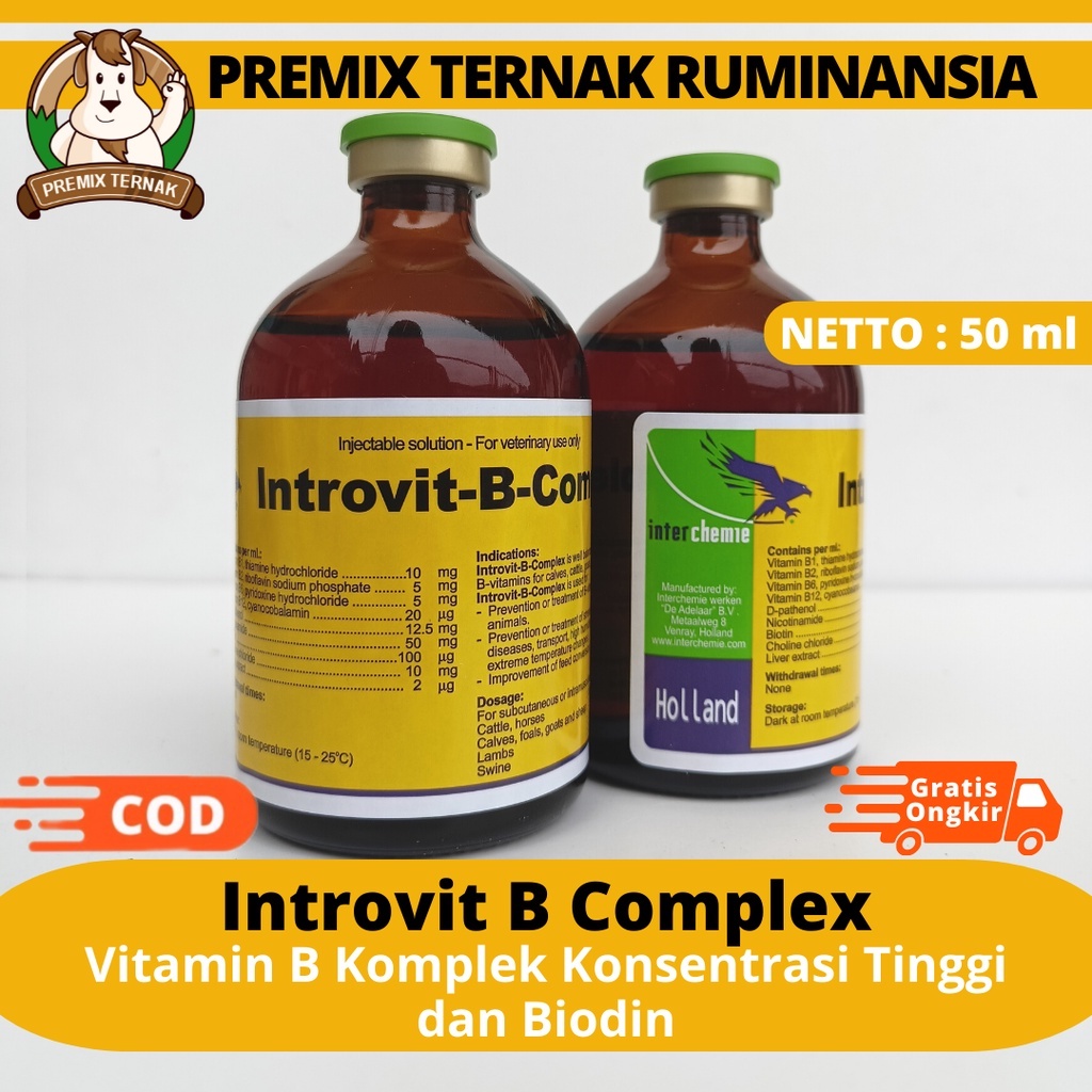 Jual INTROVIT B COMPLEX 100ml Original - (KONSENTRASI TINGGI DAN BIOTIN ...