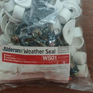 Jual Baut - Skrup Alderon RS ( Isi 50pcs) | Shopee Indonesia