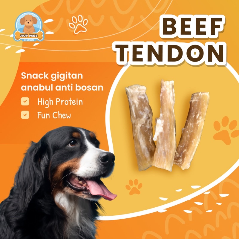 Jual Snack anjing beef tendon / beef tendon / dehydrated beef tendon ...