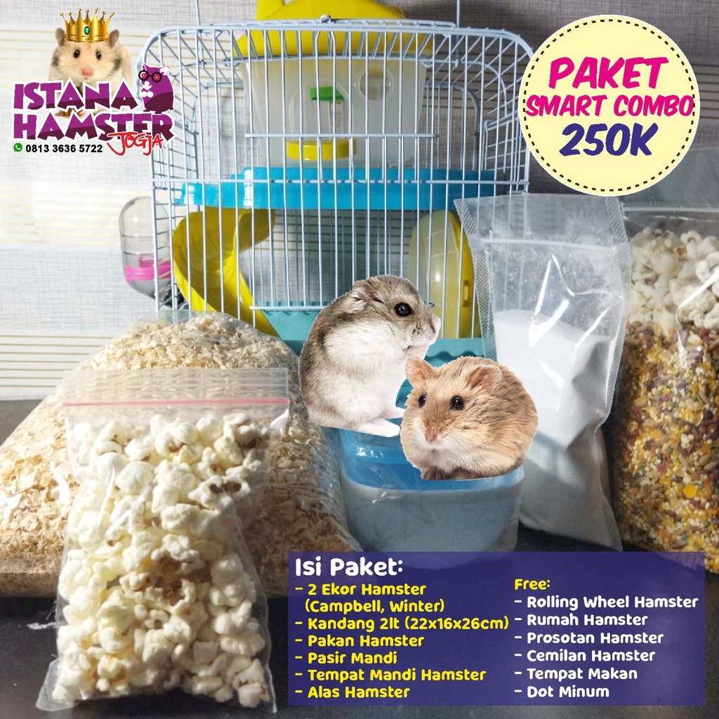 Jual PAKET Smart Combo Dari Istana Hamster Jogja | Shopee Indonesia